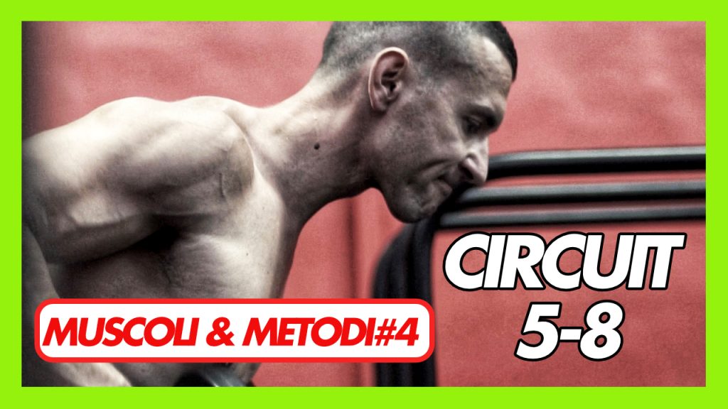 MUSCOLI E METODI #4: FULL BODY CIRCUIT DEFINIZIONE