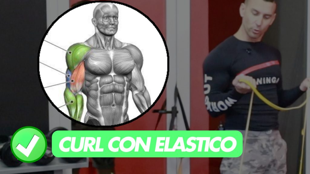 Curl con gli elastici: come allenare i bicipiti dove vuoi