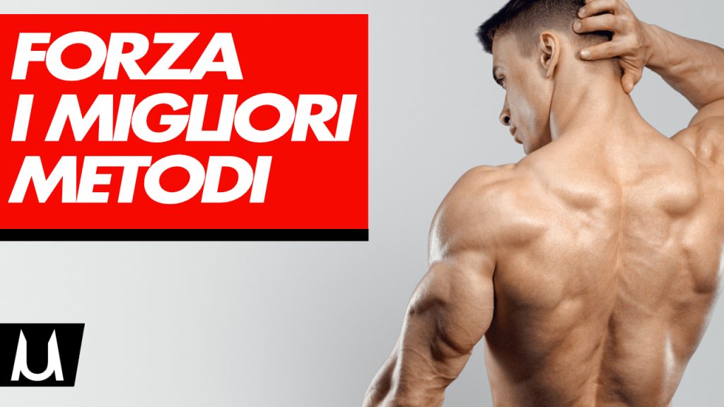 scheda allenamento forza - Umberto Miletto Il Personal Trainer