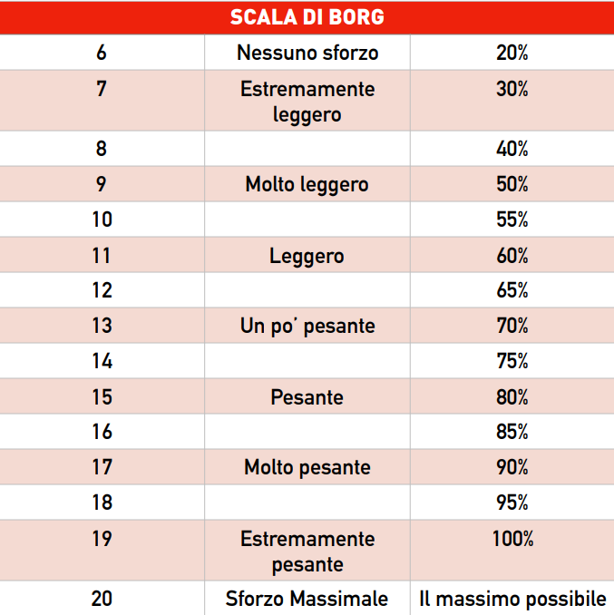 ALLENAMENTO TOTAL BODY SIMIL TABATA CON MANUBRI