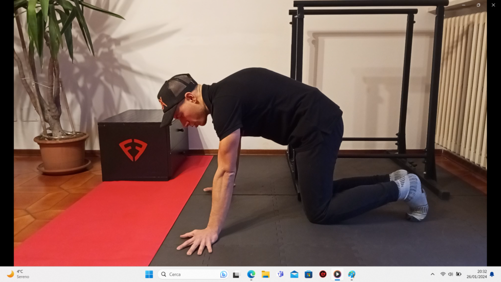 Planche Lean ESECUZIONE CORRETTA Calisthenics